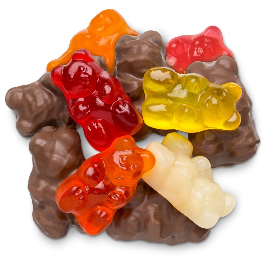 Chocolate Covered Gummy Bears & Fish - Van Holten's Chocolates